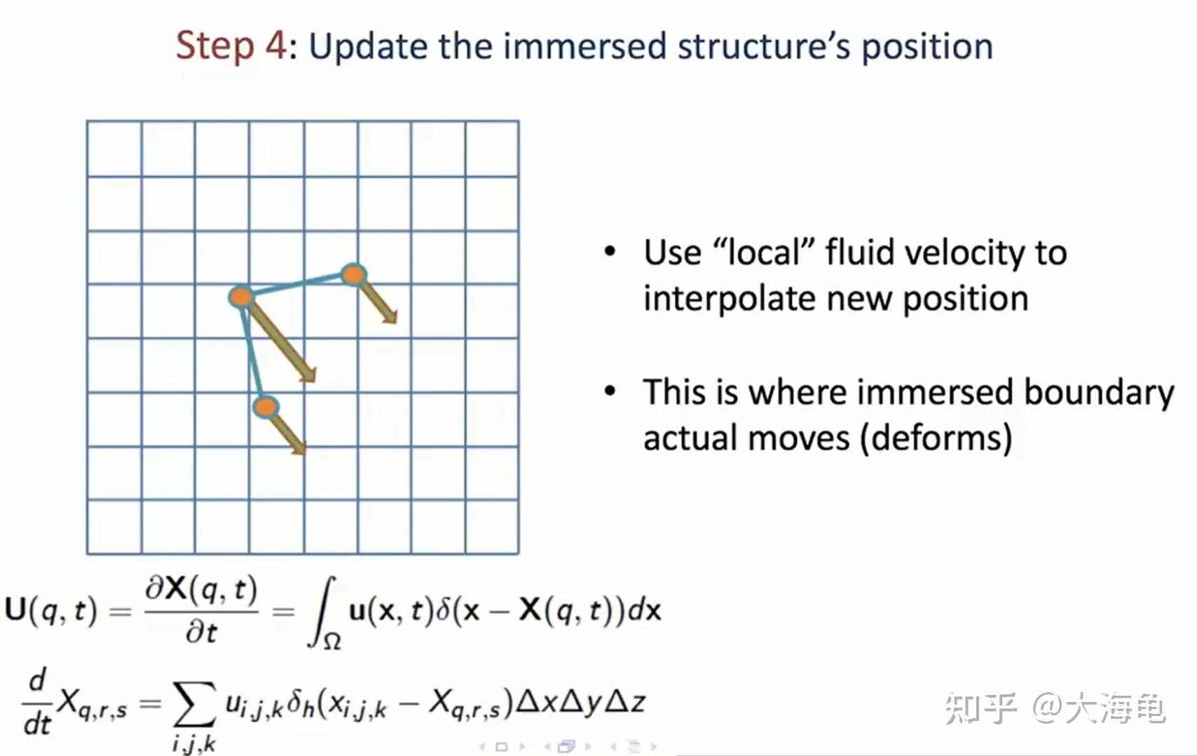 浸入边界法 Immersed Boundary Method 知乎