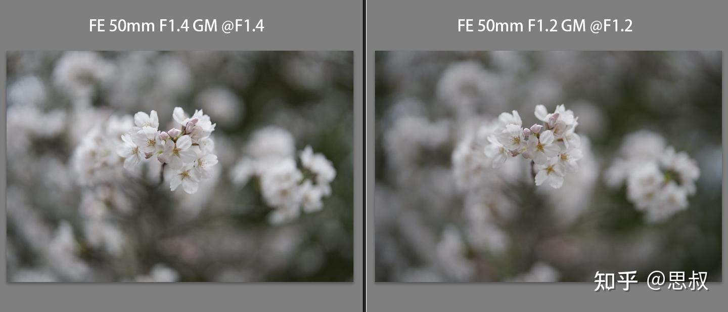 FE 50mm F1.4 GM 主观上手评测 | 实拍对比FE 50mm F1.2 GM - 知乎