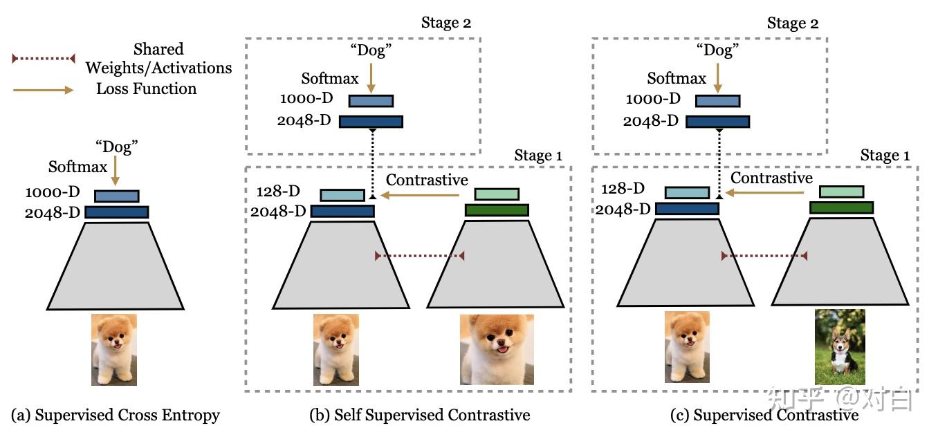 万物皆Contrastive Learning，从ICLR和NIPS上解读对比学习最新研究进展 - 知乎