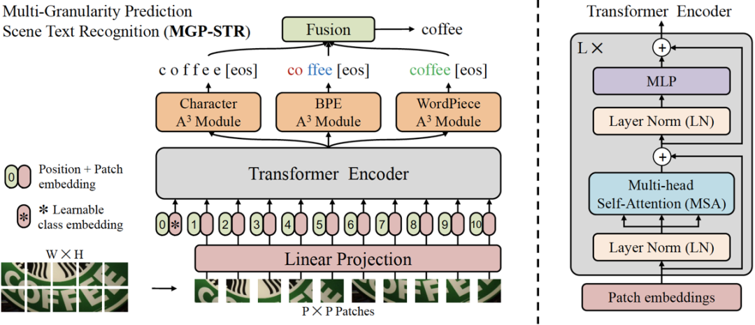 ECCV 2022 | MGP-STR：一种基于视觉Transformer的多粒度文字识别方法(已开源) - 知乎