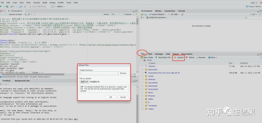 远程Rstudio使用教程--初级版及常见问题答疑 - 知乎