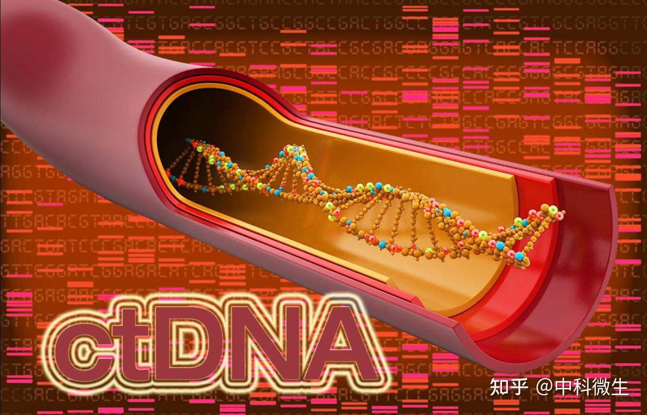 液体活检：CTCs、ctDNA和cfDNA的区别在哪 - 知乎