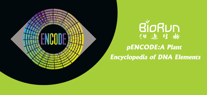 植物学家们的美好愿景——建立植物ENCODE（pENCODE） - 知乎