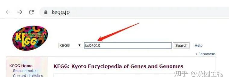 KEGG数据库最全介绍，一起来看看吧 - 知乎