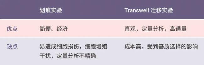 细胞迁移 VS 侵袭大不同！想要划痕和 Transwell 实验的实操？包会的！ | MedChemExpress (MCE) - 知乎