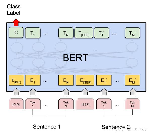 PaddleHub实战篇{ERNIE实现文新闻本分类、ERNIE3.0 实现序列标注}【四】 - 知乎