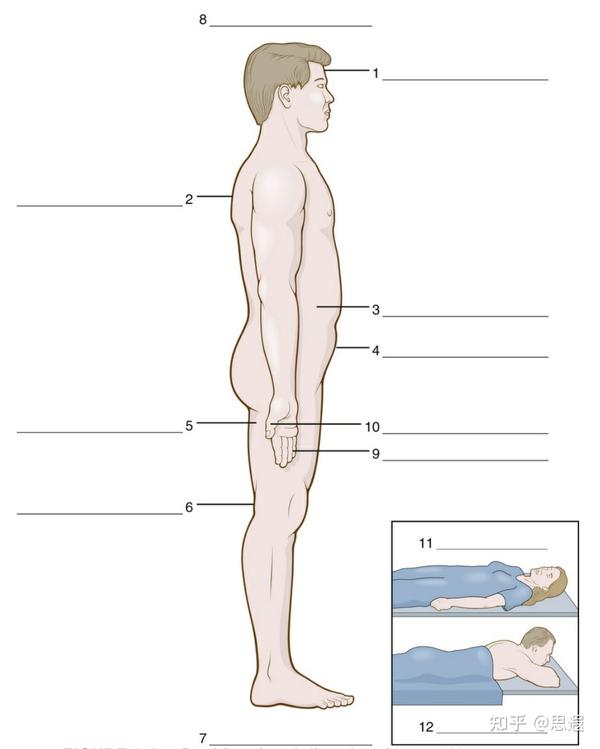  Chap2 Terms Pertaining To The Body As A Whole 4 