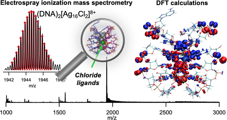 J. Am. Chem. Soc.最新力作：DNA保护的银纳米簇中Cl离子的作用 - 知乎