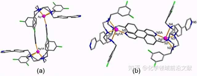 Angew：合成基于12元环多胺衍生的配体及其银离子配合物 - 知乎