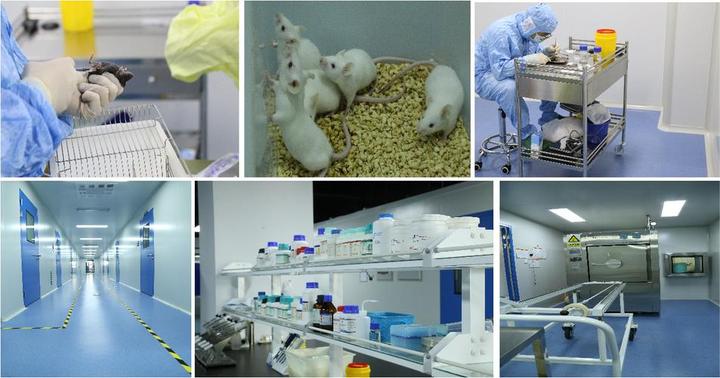 杭州ABSL-2动物实验室内操作 - 知乎