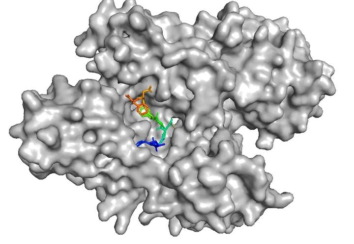 amber-gromacs文件互相转换 - 知乎