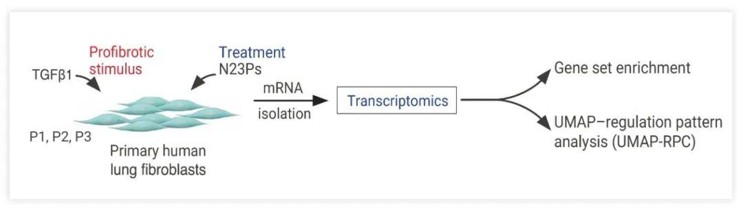 有没有人可以通俗易懂的讲一下什么是高通量筛选？ - 知乎