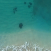 speedy-splat: fast 3d gaussian splatting with sparse pixels and sparse primitives - 知乎