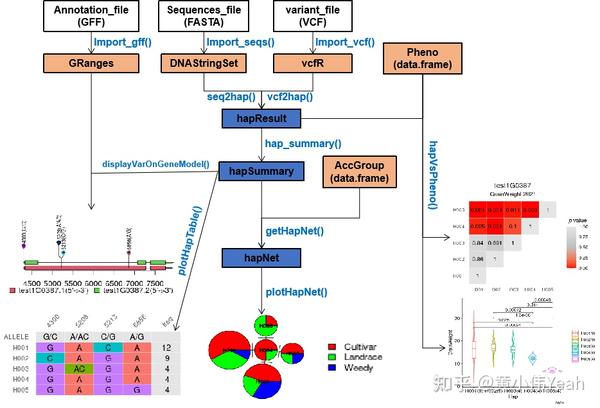 精选| 2022年8月R新包推荐(第66期） - 知乎