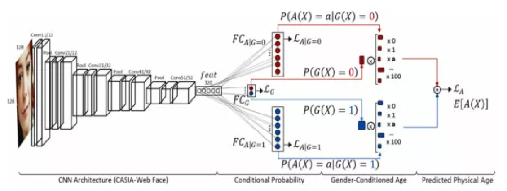 一篇弄懂人脸年龄估计 - 知乎