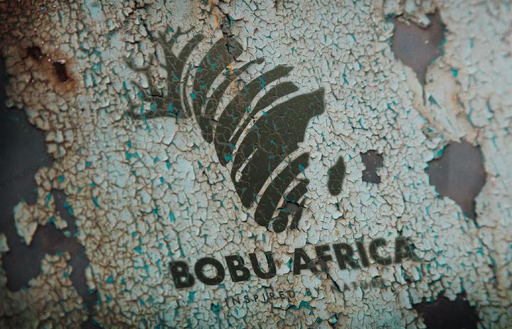 Logo设计流程解析丨BOBU AFRICA - 知乎