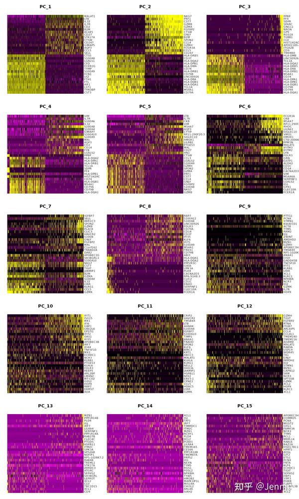 单细胞之Seurat学习与使用 - 知乎