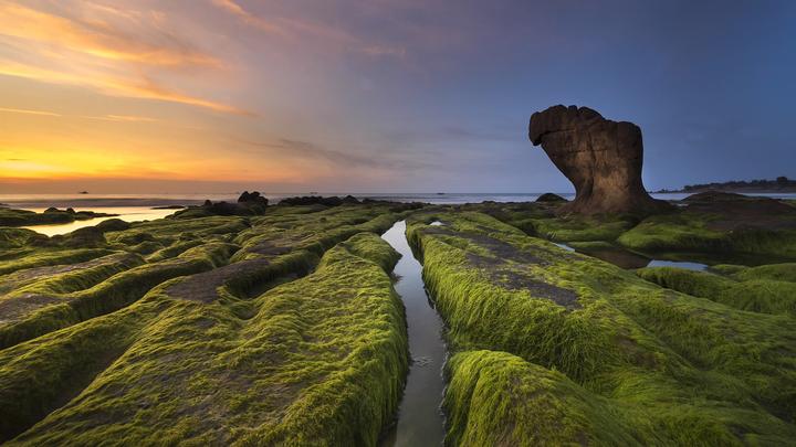 GLP、GCP、GMP、GAP、GSP缘来如此！ - 知乎