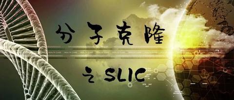 分子克隆——不依赖于序列和连接的克隆（SLIC） - 知乎
