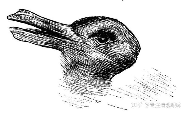 看这5张图，你第一眼看到的是什么？眼睛的视错觉会暴露你的人格 知乎