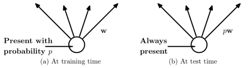 Dropout的理解 - 知乎