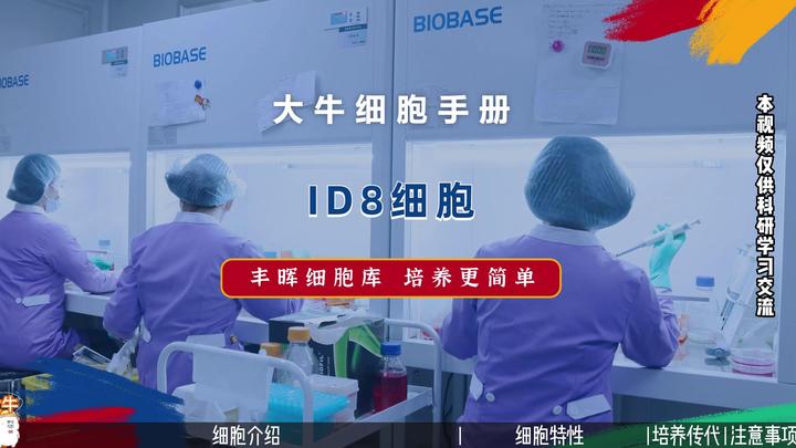 ID8细胞培养，小鼠卵巢上皮癌细胞培养攻略 - 丰晖生物 - 知乎