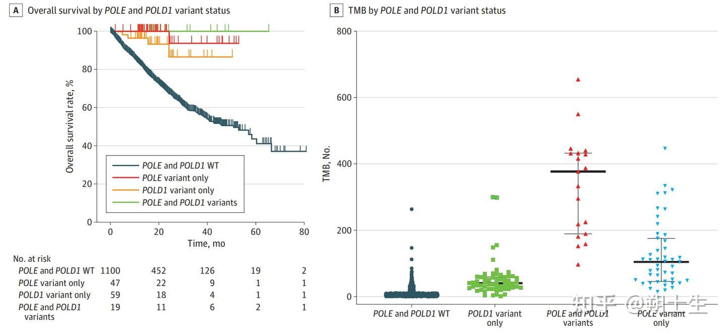 再谈POLE/POLD1 - 知乎