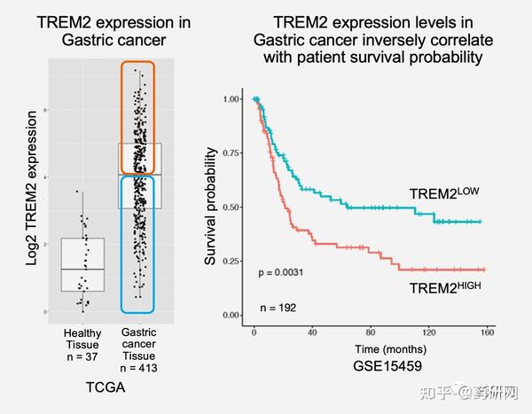 TREM1、TREM2丨髓系细胞表面受体的异军突起 - 知乎