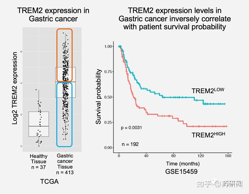TREM1、TREM2丨髓系细胞表面受体的异军突起 - 知乎