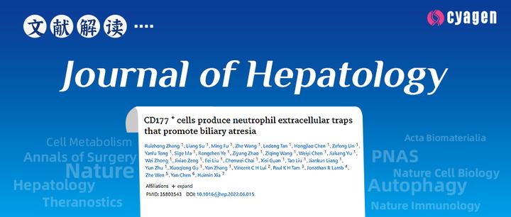 广州医科大学团队揭示CD177+中性粒细胞在胆道闭锁中的作用 - 知乎