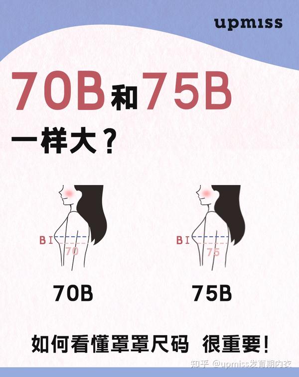胸部科普 l 70B和75B哪个大？看完这个全懂了 - 知乎
