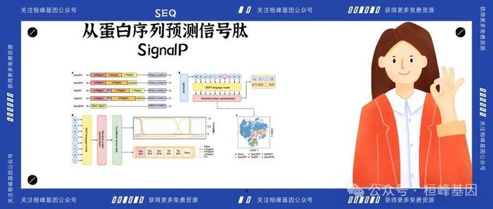 SEQ 6. 蛋白序列的信号肽预测(SignalP) - 知乎