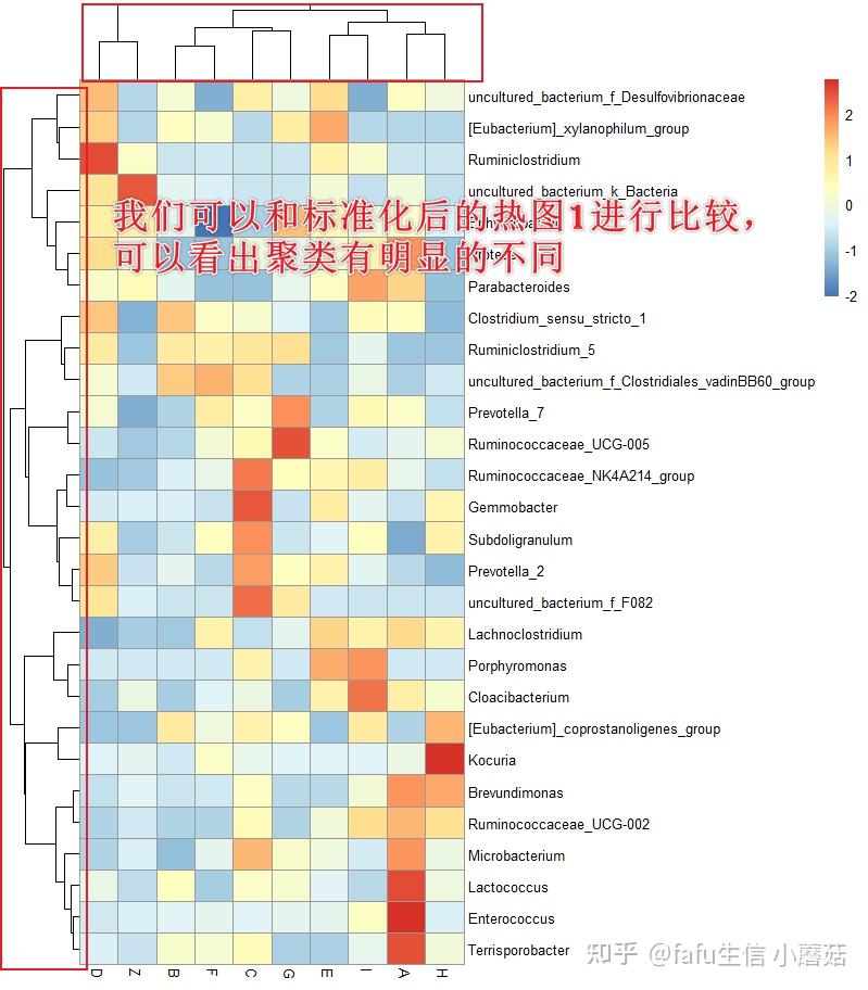 R语言 pheatmap 包绘制热图（基础部分） - 知乎