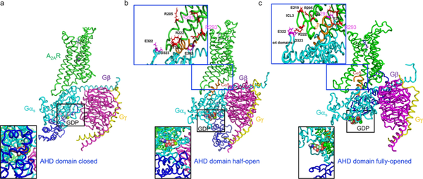 Nat Commun︱美国USF叶立斌团队使用19F定量核磁共振分离聚集中间态并揭示了微开关控制GPCR构象变构过程 - 知乎