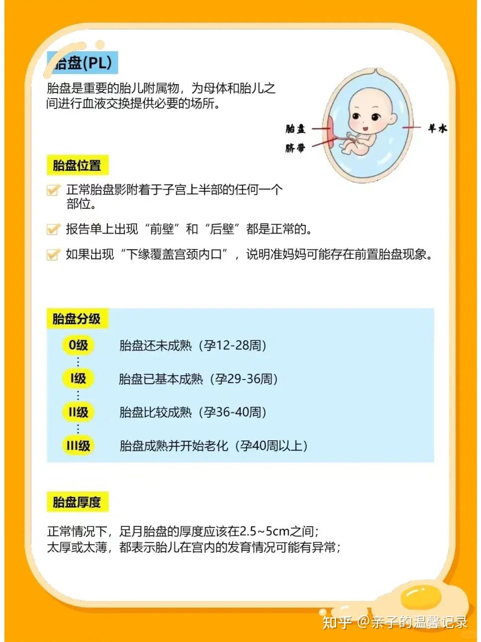 1分钟看懂B超单！新手宝妈必备 - 知乎