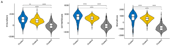肿瘤代谢生信思路再度升级——代谢表型分析+预后模型构建+关键基因功能实验，干湿结合拿下8分+相当给力！ - 知乎
