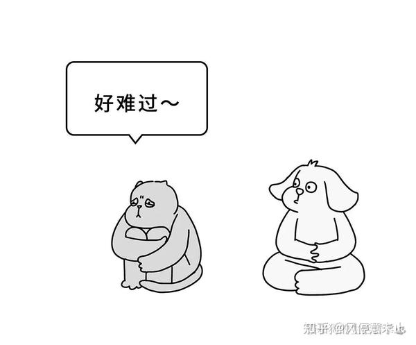 5个暖心故事 知乎