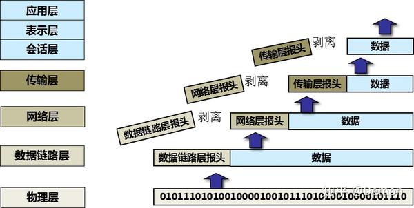 简述OSI七层网络模型 - 知乎