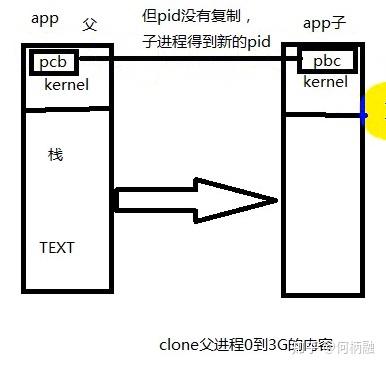 linux 进程 fork() - 知乎