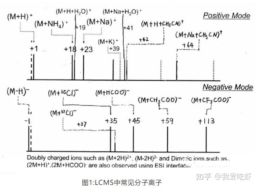 玩转质谱|4|：液质（LCMS）中常见的子离子 - 知乎