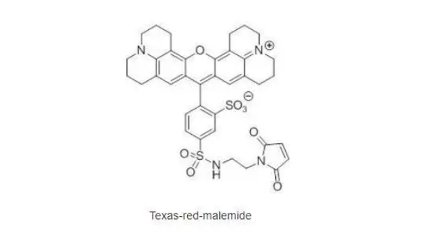 Texas Red maleimide ，Texas Red Mal，可以和巯基(-SH)发生亲和加成反应 - 知乎