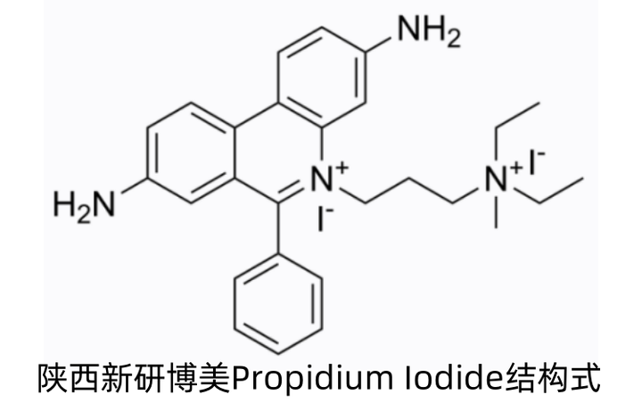 Propidium iodide，碘化丙啶，25535-16-4的应用原理 - 知乎