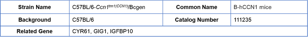 CCN蛋白家族--各有特色的促癌三兄弟 - 知乎