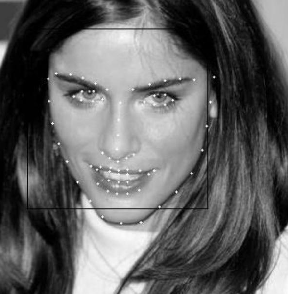 Face Alignment 总结（长期更新） - 知乎