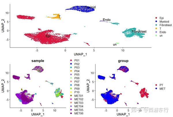 scRNA分析|单细胞文献Fig1中的分组umap图和细胞比例柱形图 - 知乎