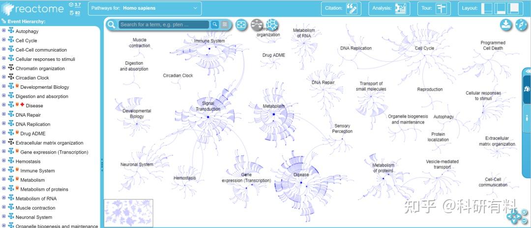 不用高级软件怎么画好国自然标书通路图？ - 知乎