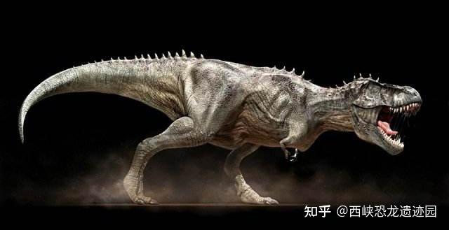 恐龙科普——寻找霸王龙！ - 知乎