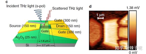 Direct nanoscopic observation of plasma waves in the channel of a ...