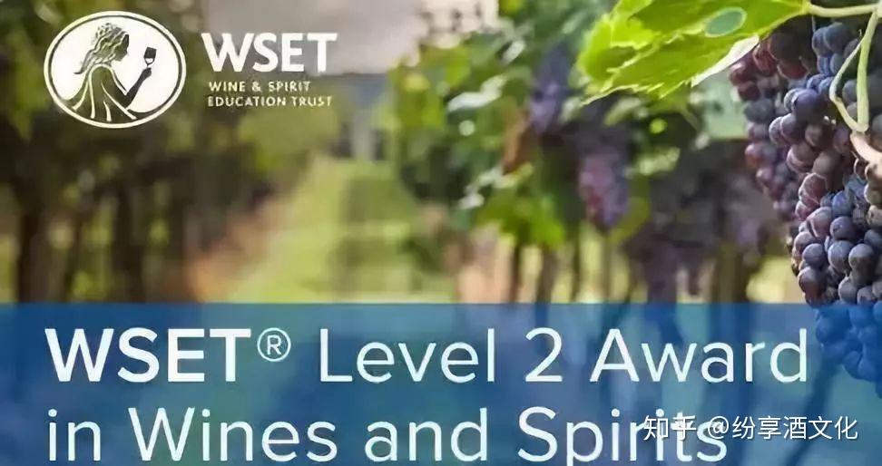 什么是WSET? - 知乎