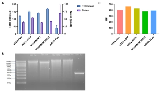 【耀文解读】mRNA IVT篇︱自扩增mRNA（saRNA）体外转录的实验设计优化 - 知乎